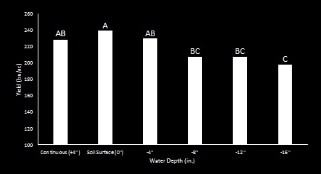 MSU Researcher Utilizes Small Plots to Verify AWD | Mississippi Crop ...