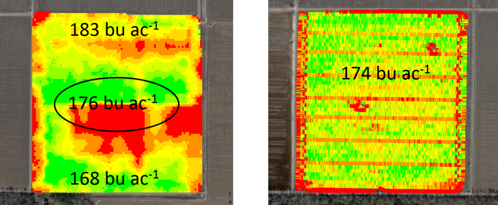 Researching Row Rice | Mississippi Crop Situation