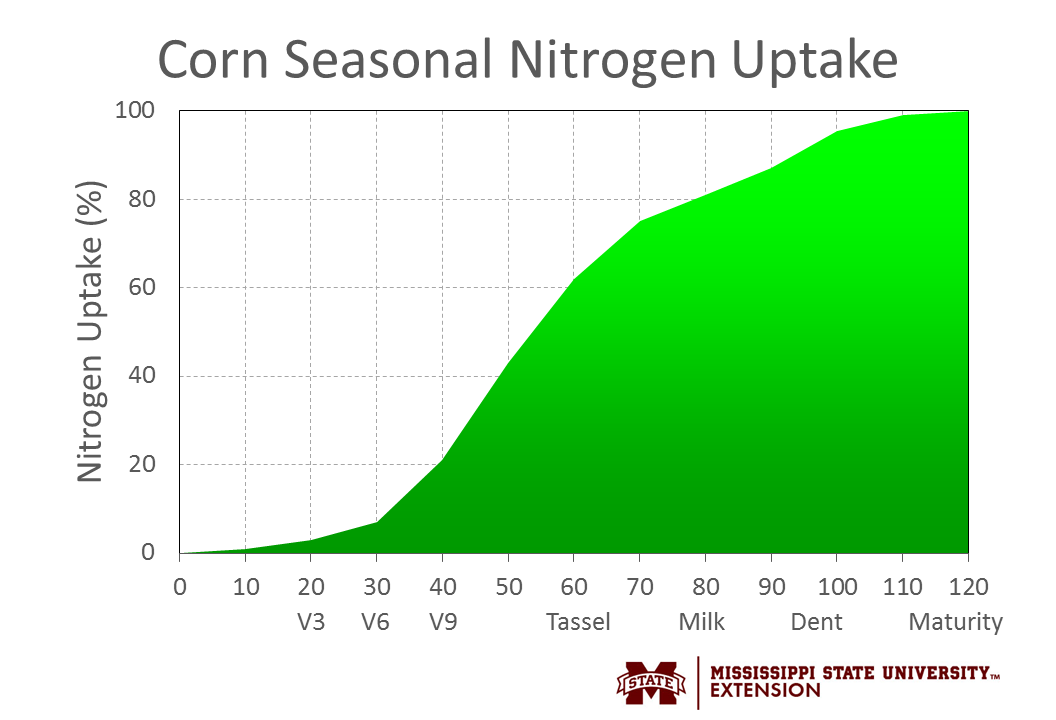 Estimating Nitrogen Loss in Corn from the June Flood | Mississippi Crop ...