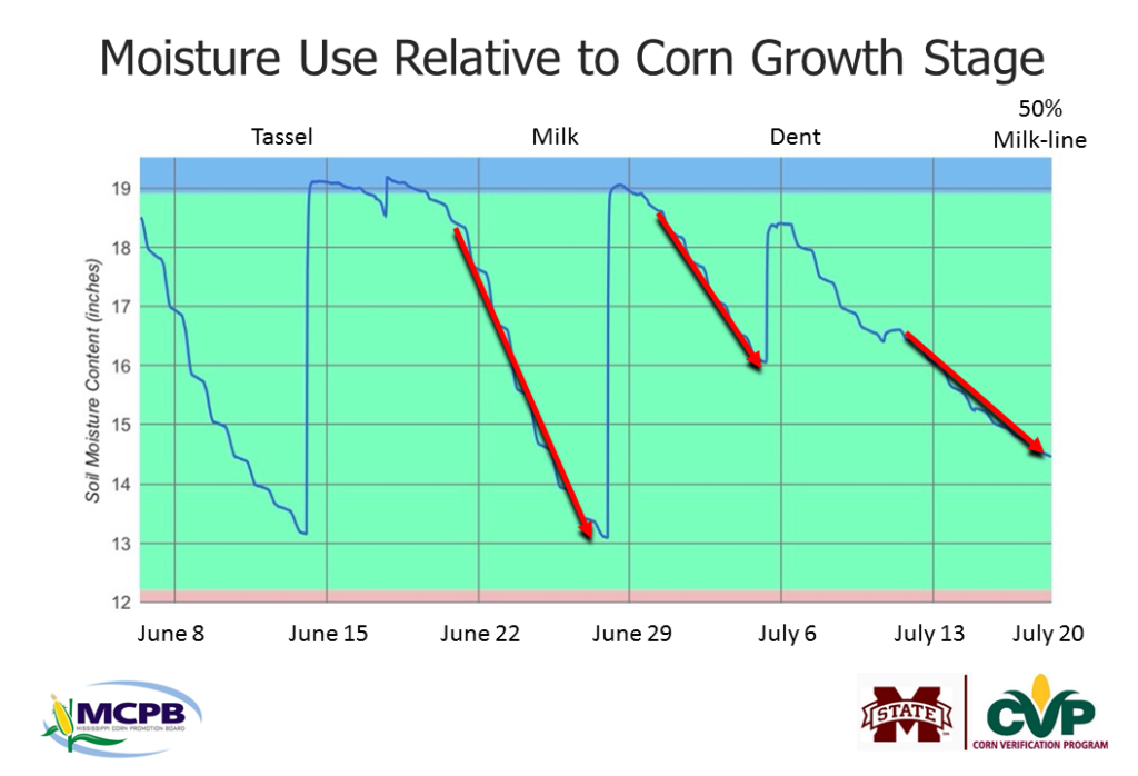 When to Terminate Irrigation in Corn | Mississippi Crop Situation