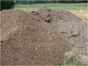 Reviewing Poultry Litter as a Row Crop Fertilizer | Mississippi Crop ...